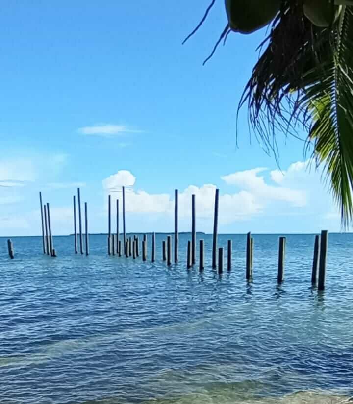 Pool – Palapa – Pier – Fence Design - EMC and Sons Construction